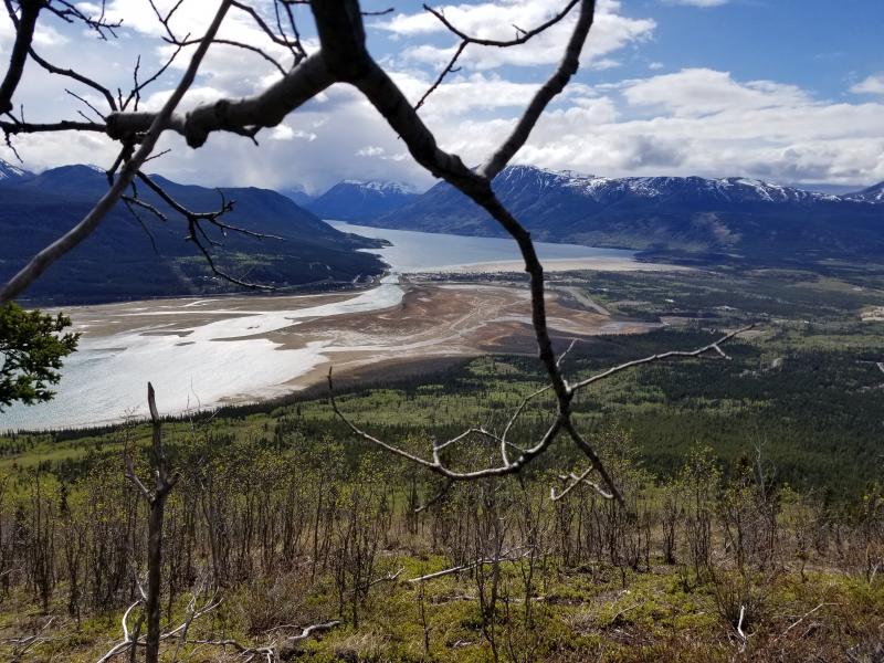 Nares Mountain | Hiking, skiing, and snowshoeing trails in the Yukon ...